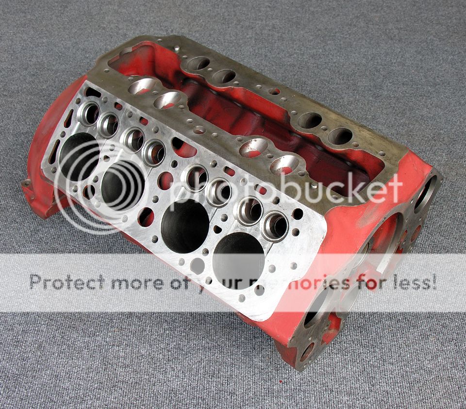 French Flathead in New Zealand- do enough of you want them? | The H.A.M.B.